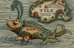 'To Talk of Many Things': Whales, Walrus, and Seals in Medieval ...
