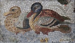 Alternate fortunes? The role of domestic ducks and geese from Roman to ...