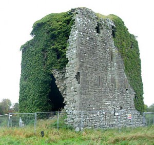 Castle for Sale: Ballyfinboy Castle, Ireland - Medievalists.net