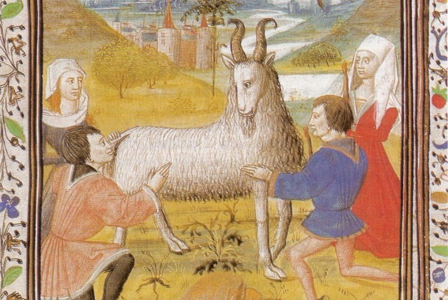 medieval goat - Medievalists.net