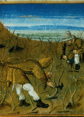 A Year on the Medieval Farm - Medievalists.net