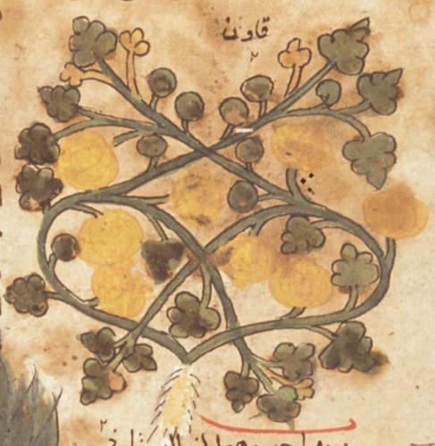 Medieval Food Archives - Page 7 of 13 - Medievalists.net