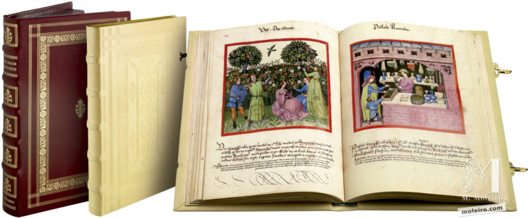 Medieval Manuscripts: Bread in the 15th-century - Medievalists.net
