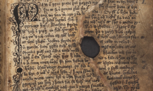 Úlfhams rímur: A Tale of An Accursed Prince