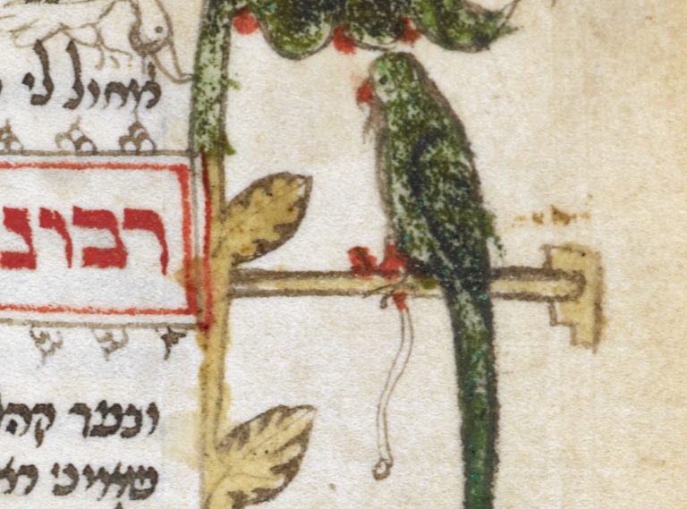 How the parrot tricked the knight