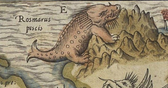 walrus - Medievalists.net