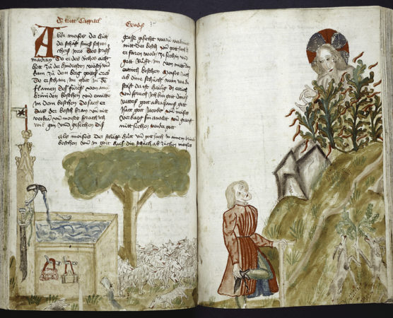Manuscript Palaeoproteomics: Discovering the field of biocodicology ...