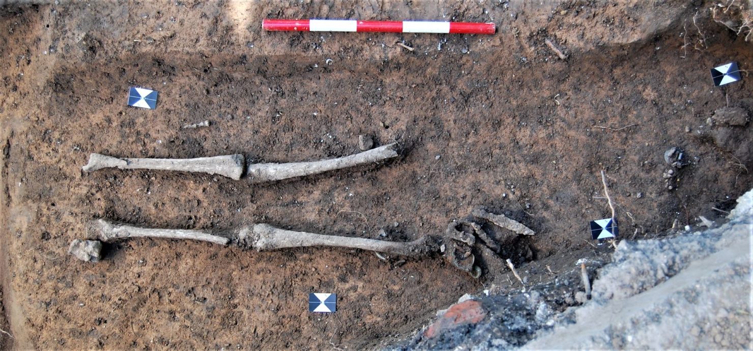 Skeleton - Medievalists.net