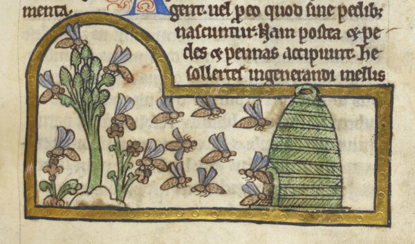 Honey trade was widespread in late medieval Europe, study finds ...