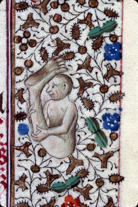 mnet24052709 - Medievalists.net