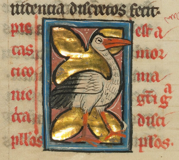 From Antiquity to the Middle Ages: The White Stork's Journey Across ...