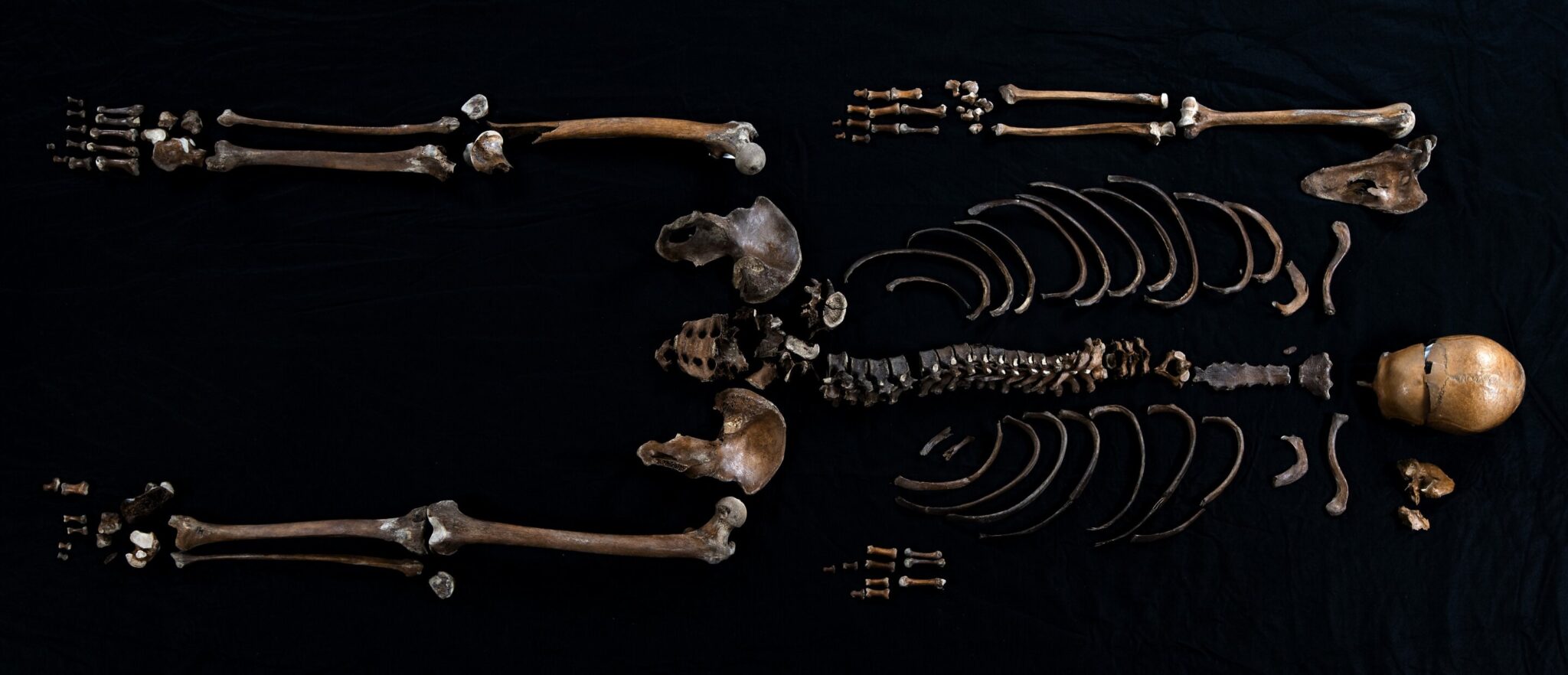 Medieval DNA Reveals Skeleton’s Link to Norse Saga - Medievalists.net
