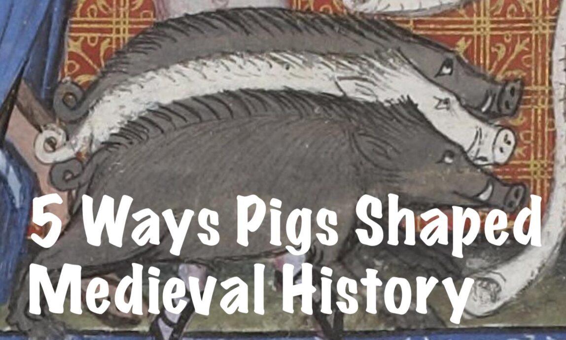 How Pigs Shaped Medieval Life: Surprising Roles in Politics, Warfare ...