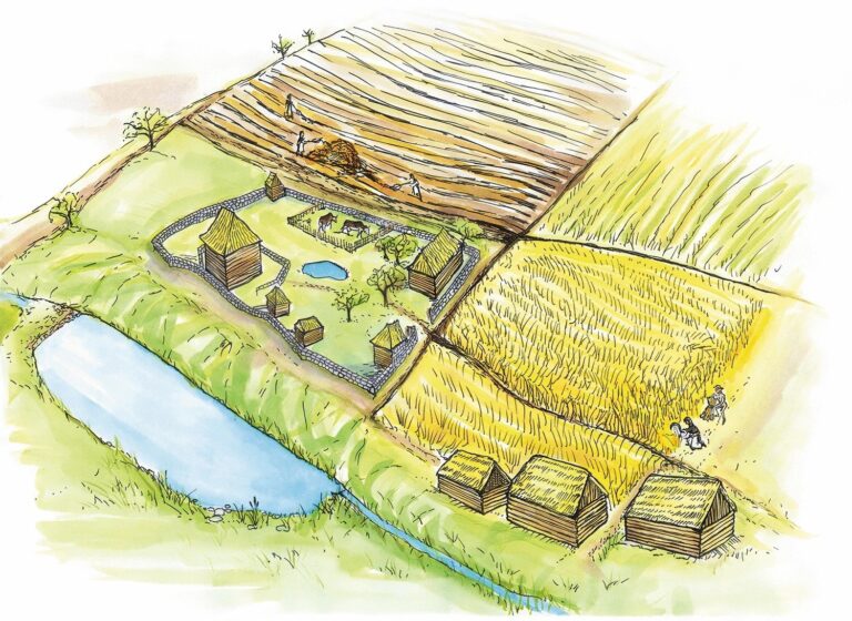 Medieval Farmers Showed Remarkable Efficiency in Land Use, New Study ...