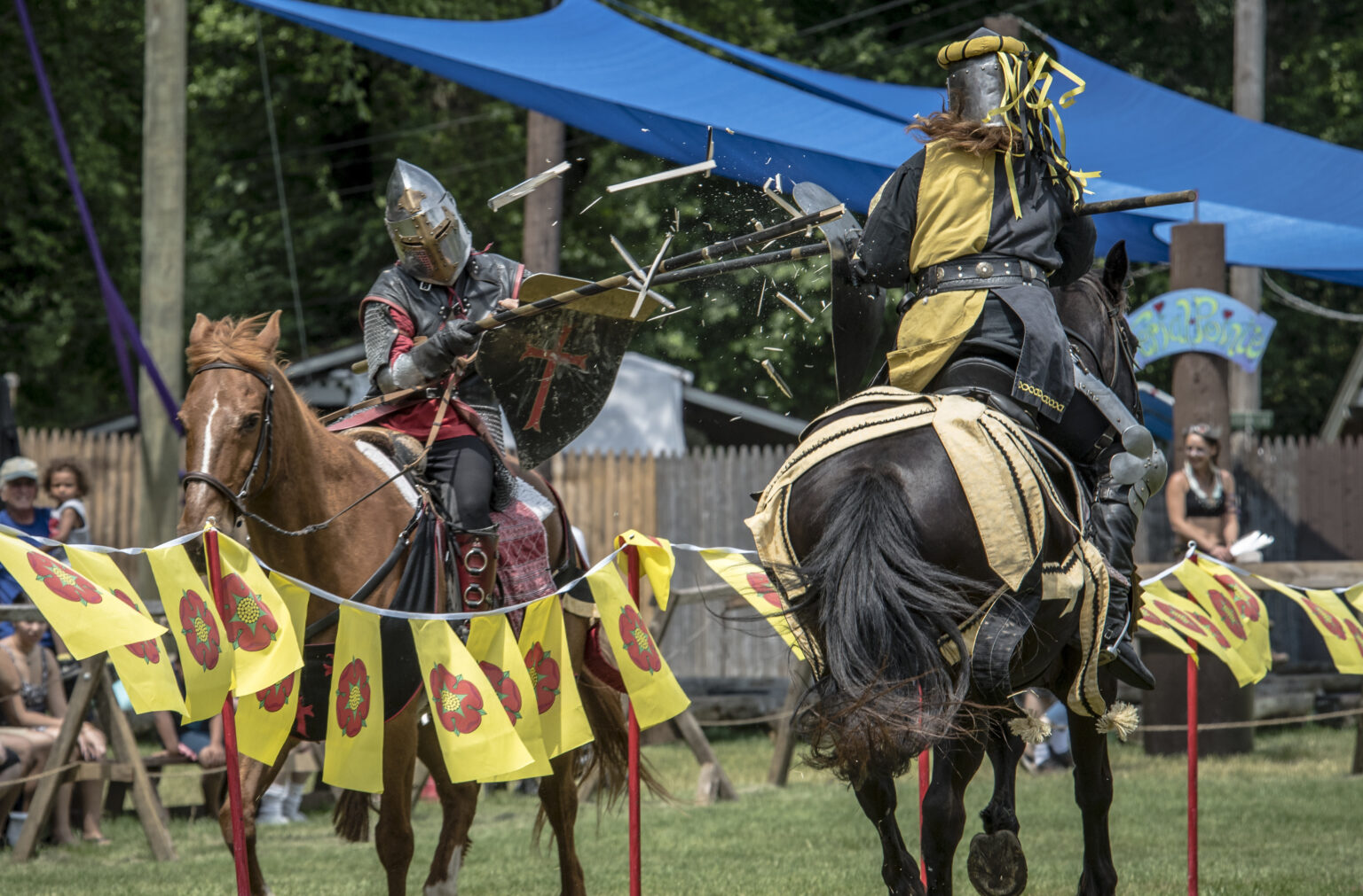 How Powerful Was a Medieval Lance Strike? Physics Students Do the Math ...