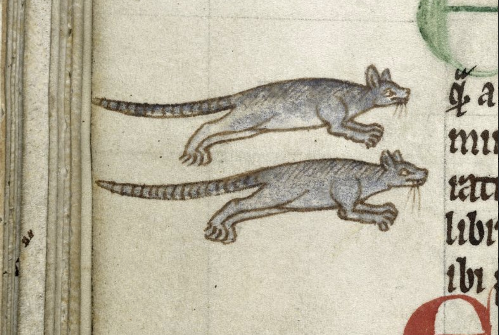 Musical Retribution: The Medieval Tale of the Pied Piper of Hamelin ...