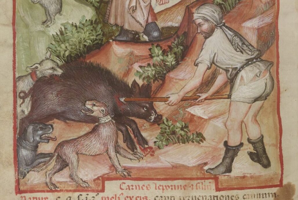 Medieval Male Underwear: Hidden But Revealing - Medievalists.net