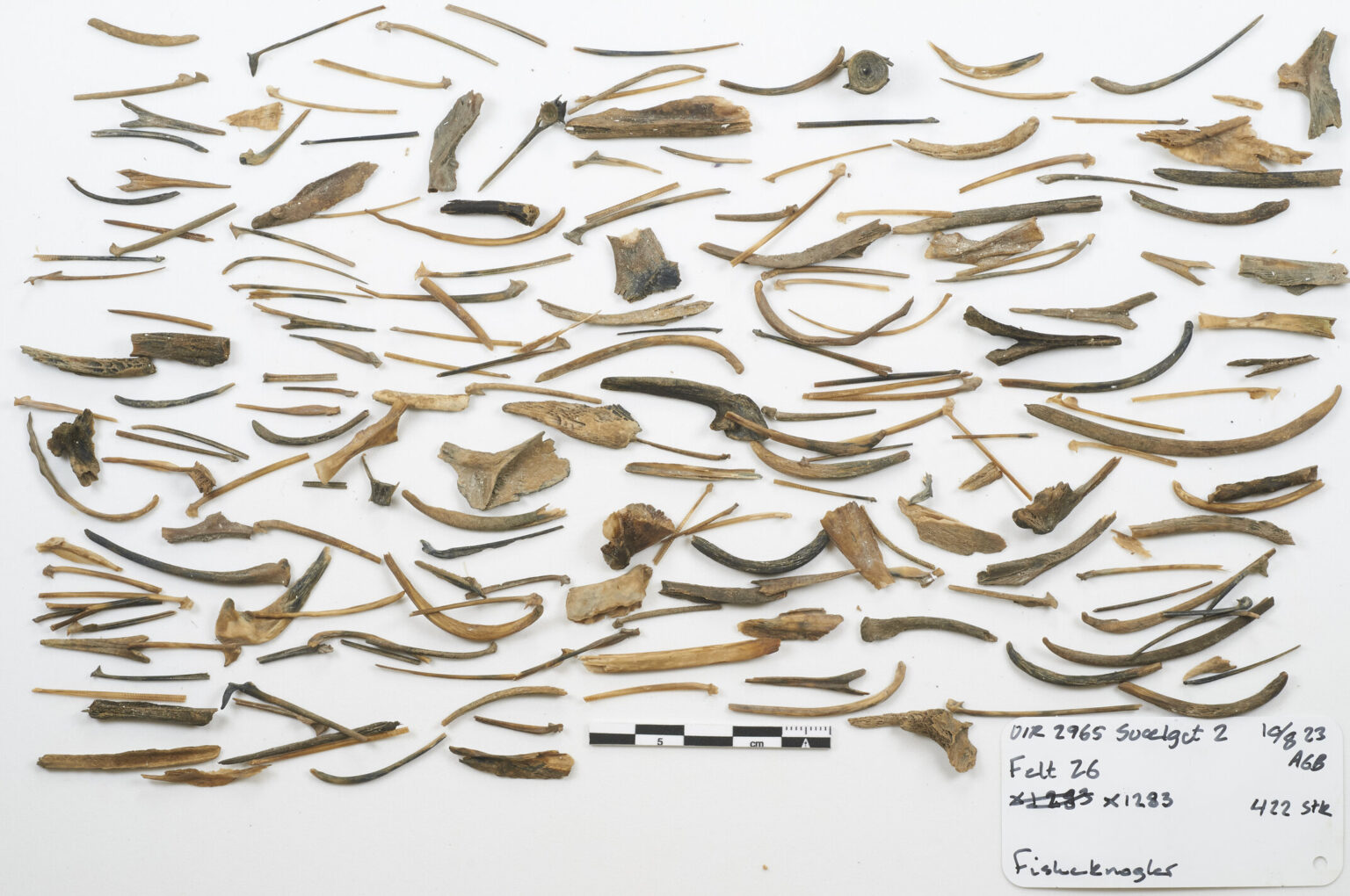 Medieval ship discovered off Copenhagen may be the world’s largest cog ...