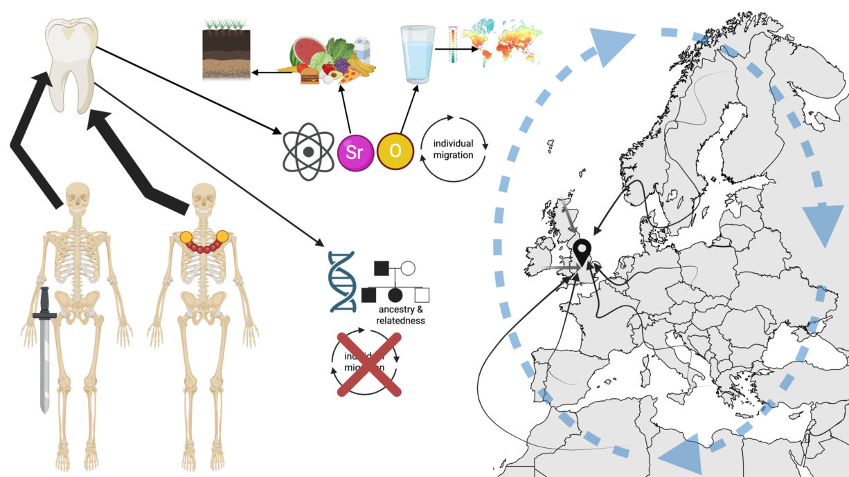 Early Medieval England Saw Continuous Migration, Study Finds ...